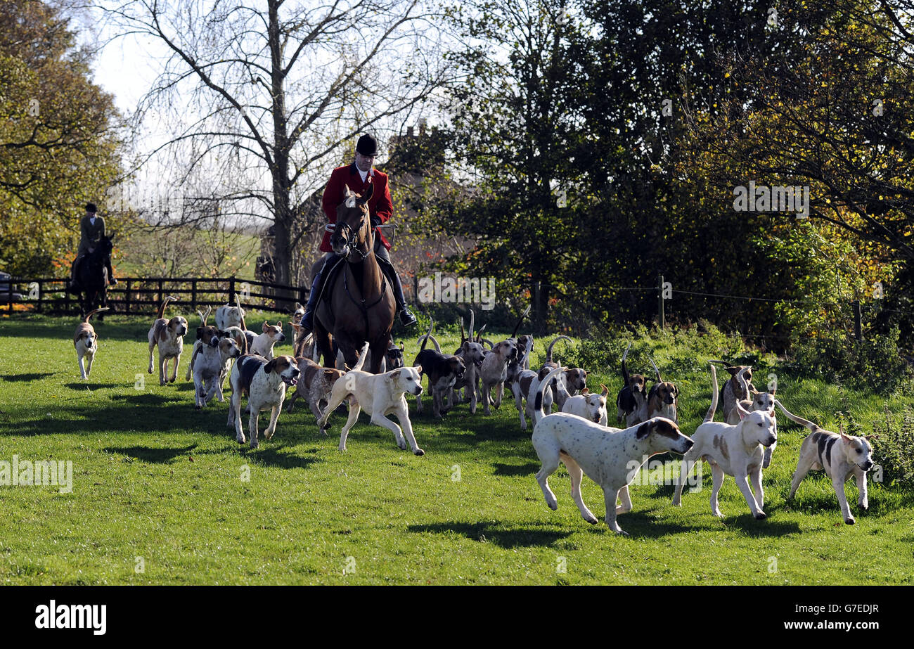 First hunt of the season Stock Photo - Alamy