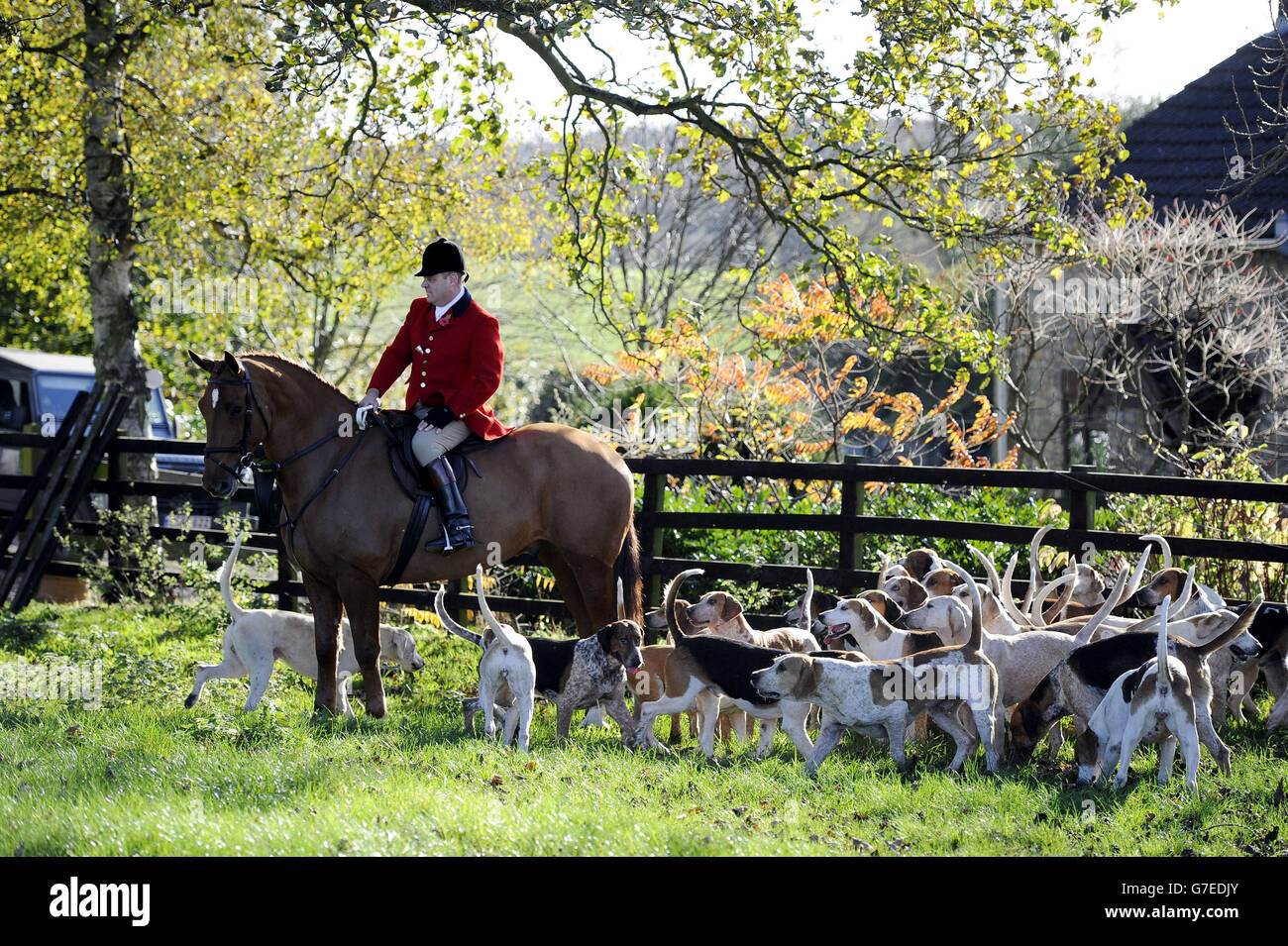 The first day of the new fox hunting season as members of the Bramham ...