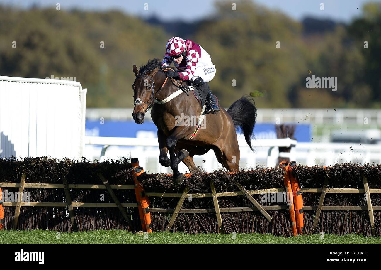 Horse Racing - United House Group Raceday - Ascot Racecourse Stock ...