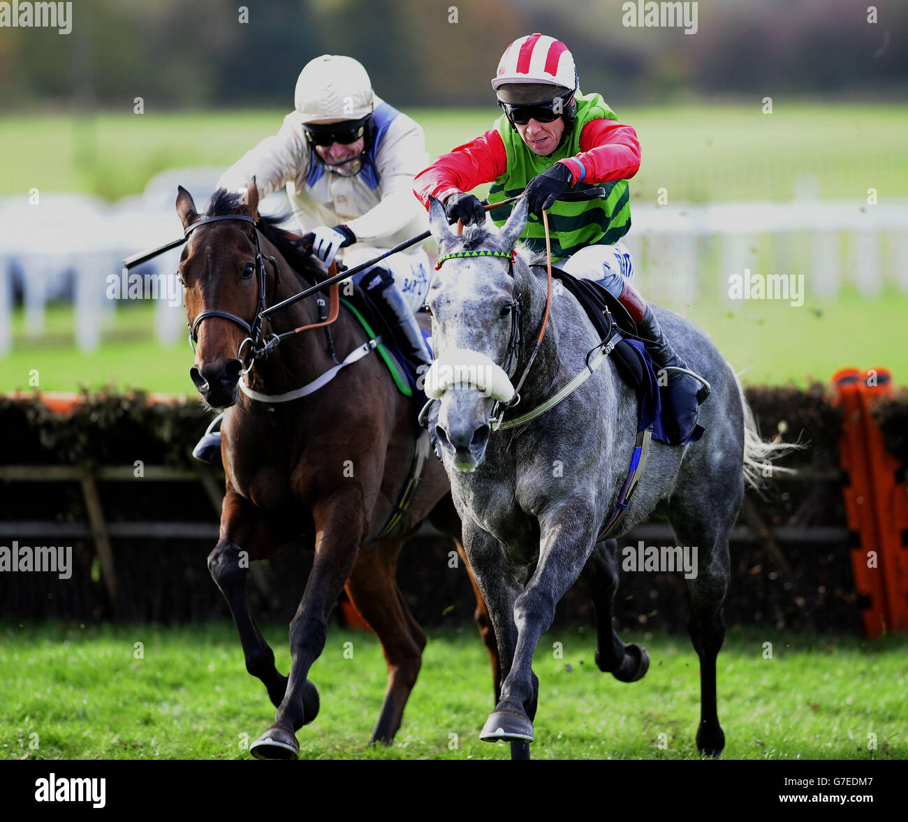 Chieftains horse hi-res stock photography and images - Alamy