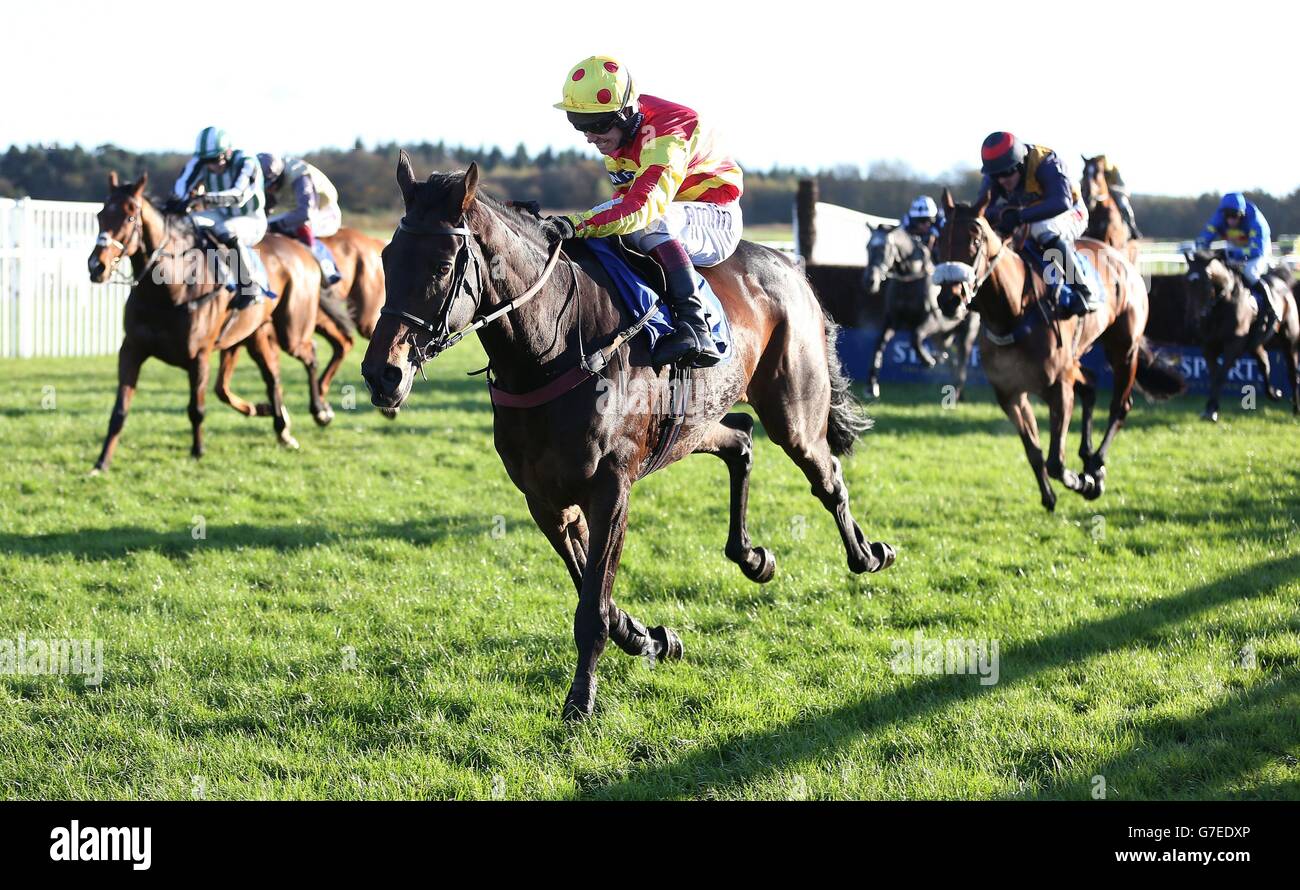 Horse Racing - Exeter Stock Photo - Alamy