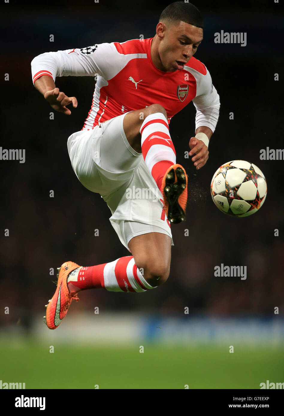 Arsenal's Alex Oxlade-Chamberlain during the UEFA Champions League ...