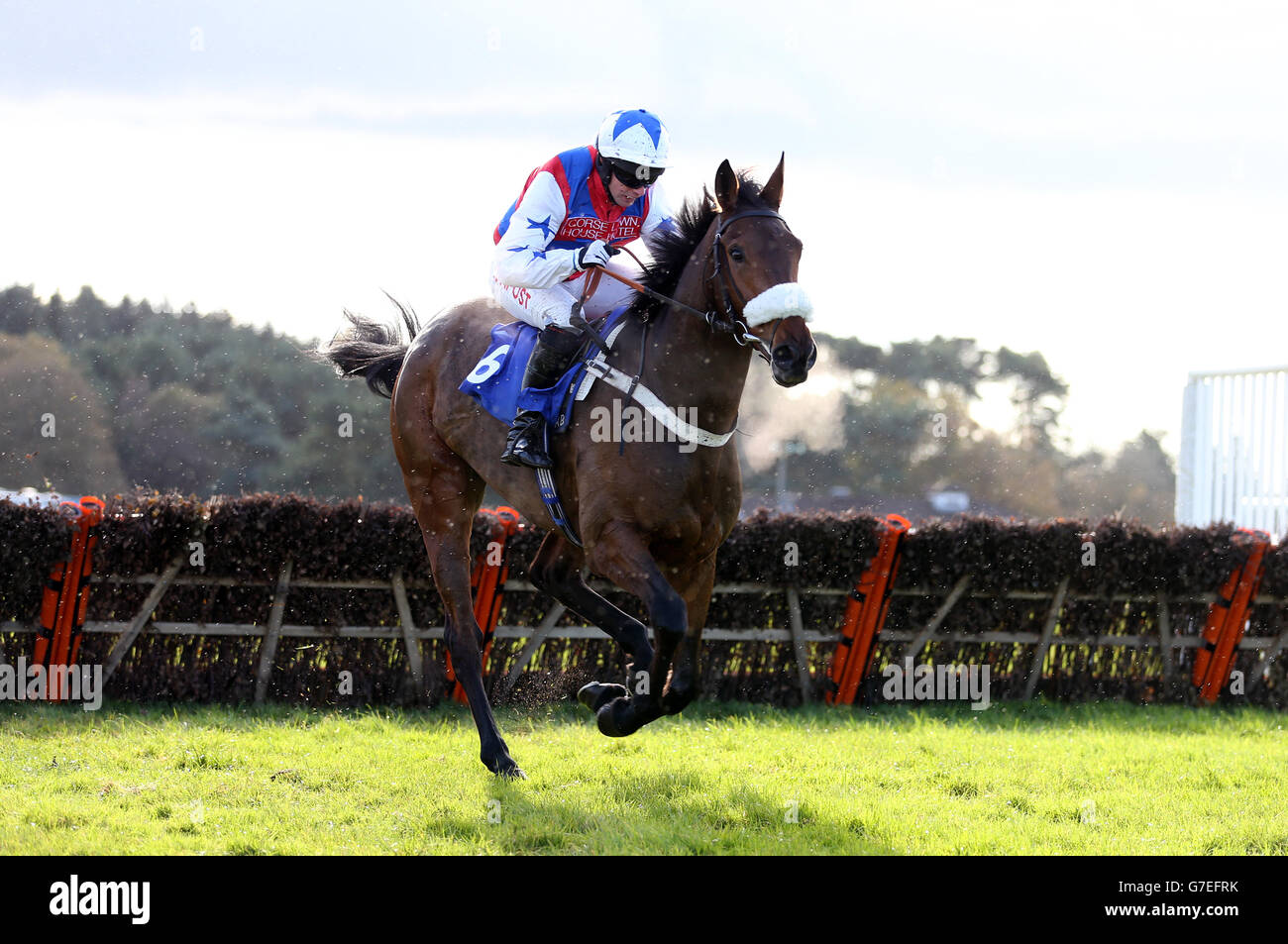 Horse Racing - Exeter Stock Photo - Alamy