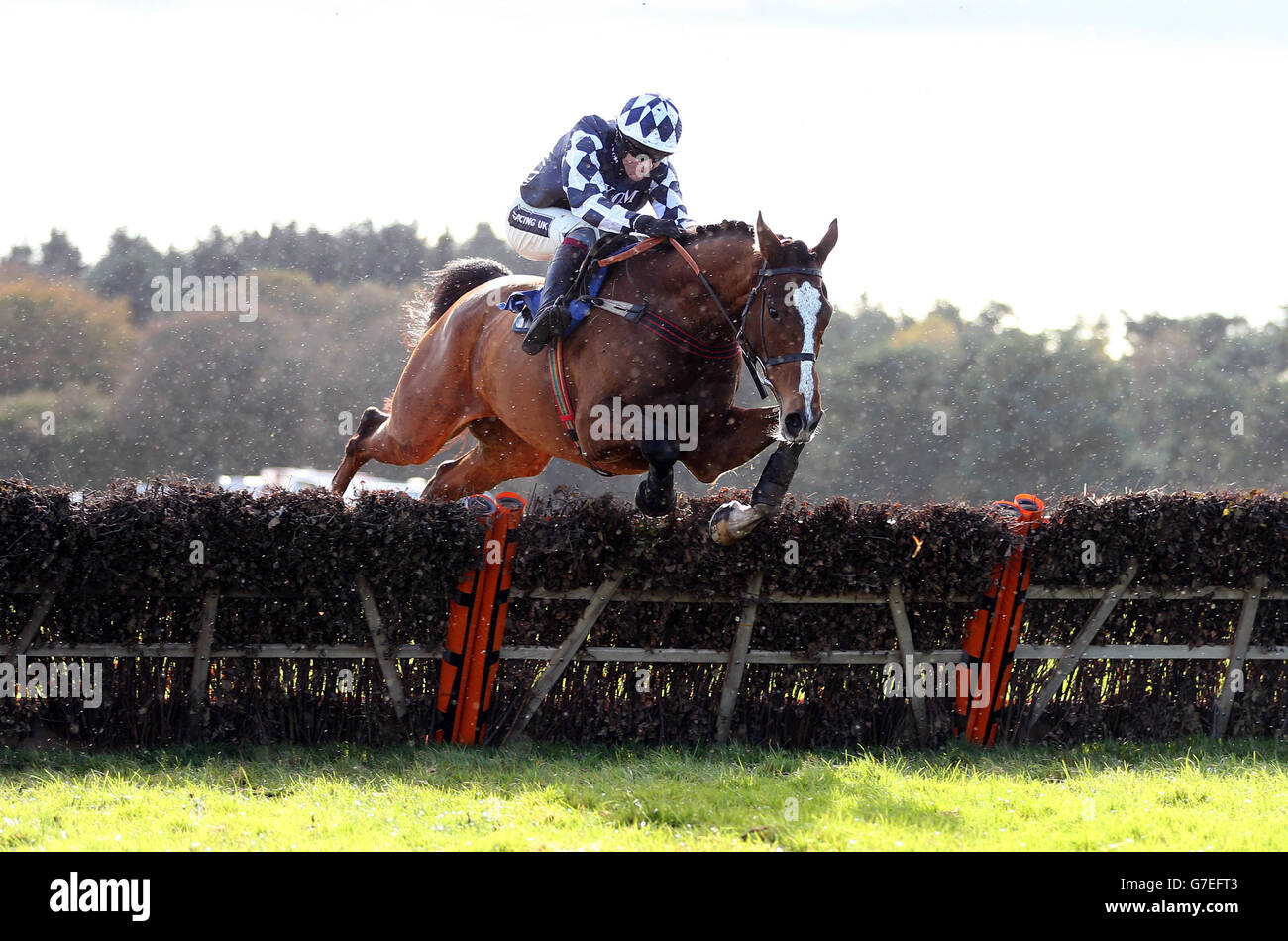 Horse Racing - Exeter. Jockey Aidan Coleman on Javert during the ...