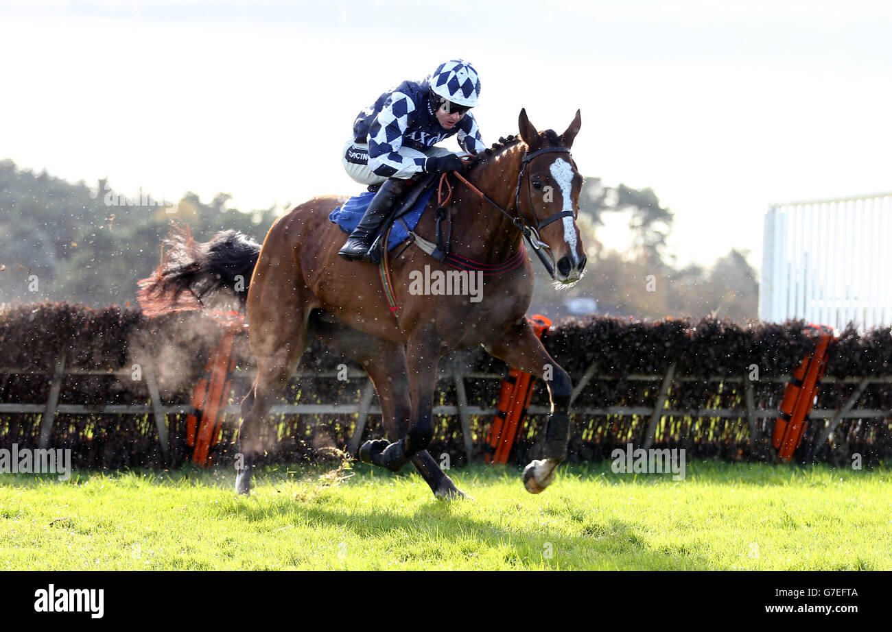 Aidan coleman exeter hi-res stock photography and images - Alamy