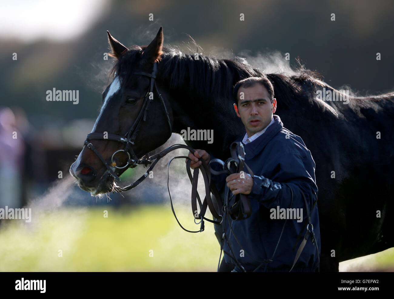 Grade limited handicap hi-res stock photography and images - Alamy