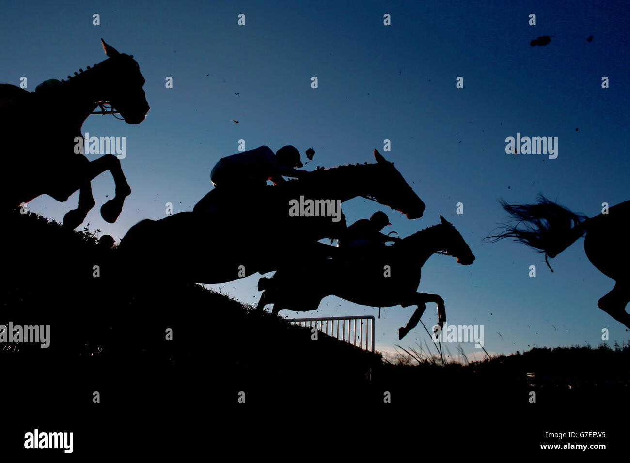 Horse Racing - Exeter Stock Photo - Alamy