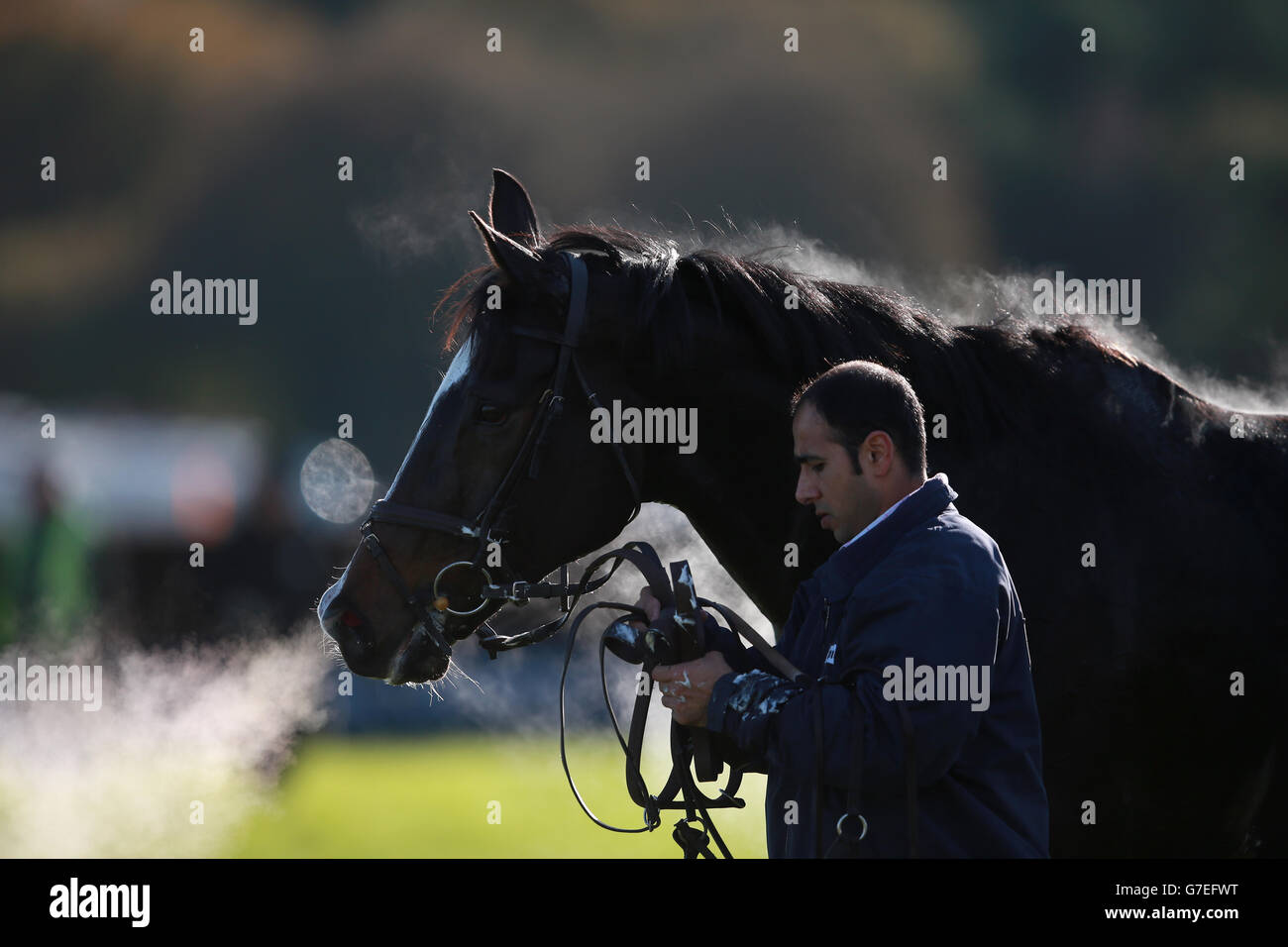 Horse Racing - Exeter. Somersby before the Vix Technology Haldon Gold ...