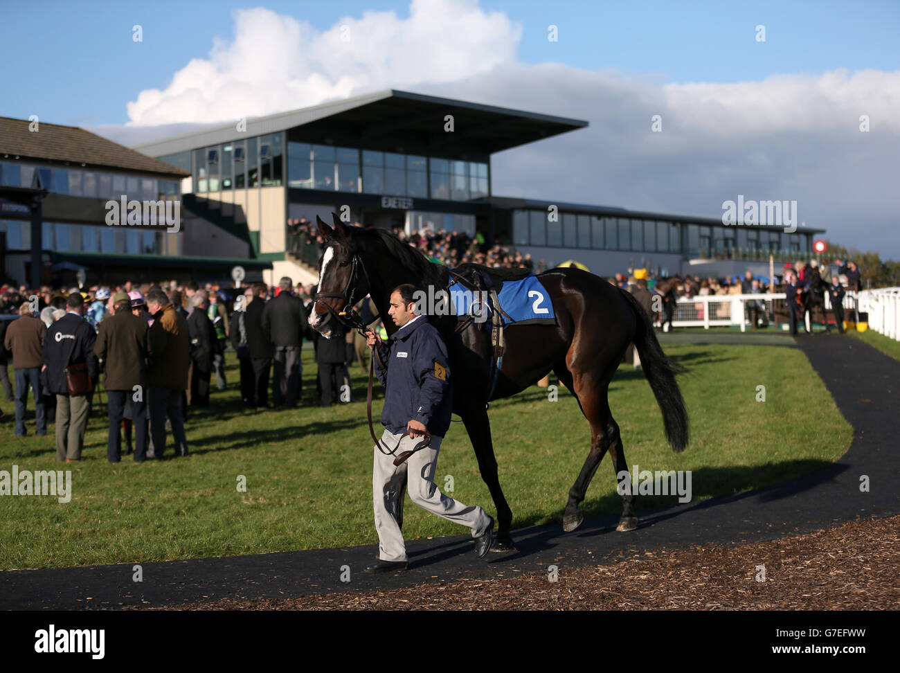 Somersby before the Vix Technology Haldon Gold Cup Chase (Grade 2 ...