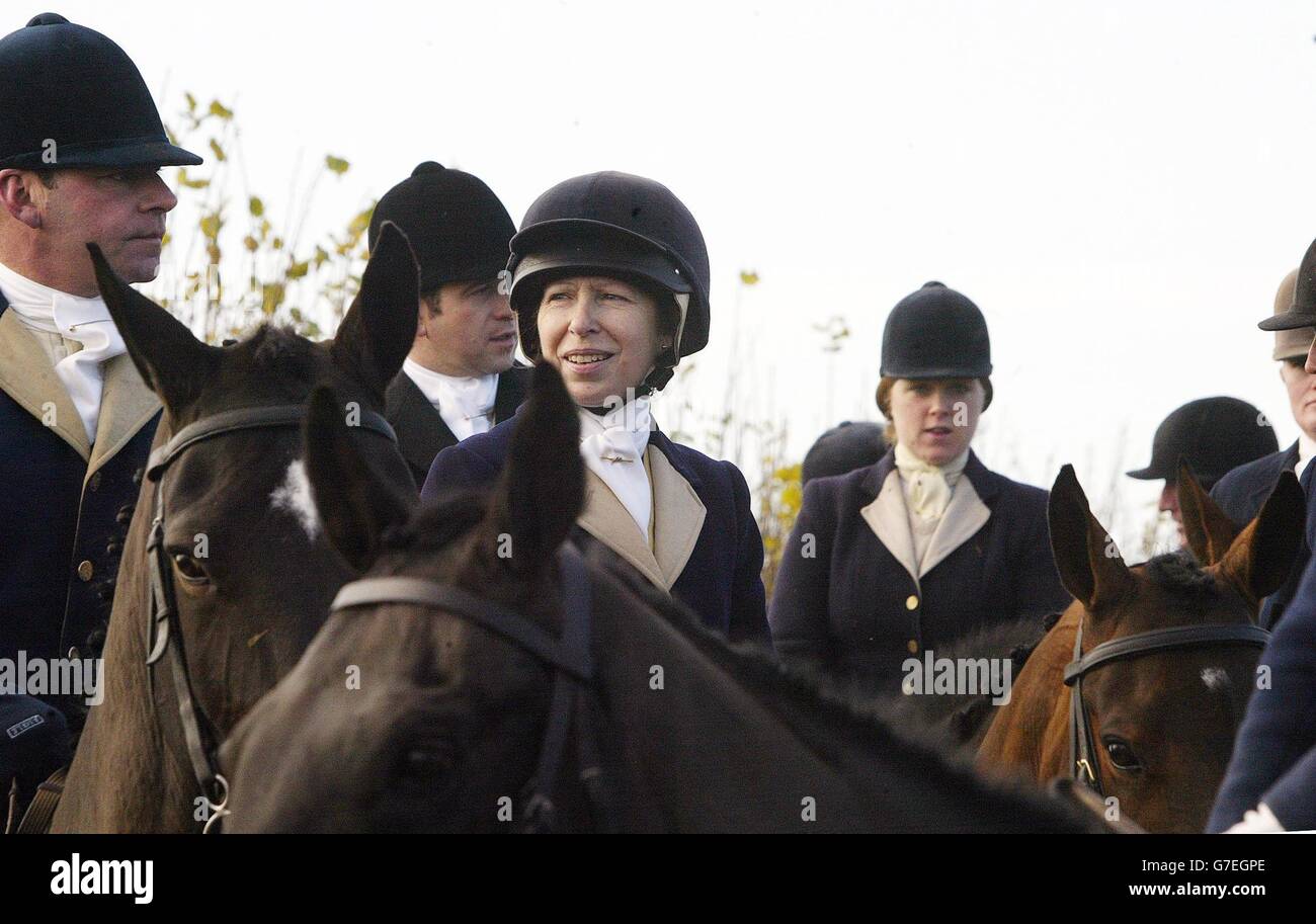The Princess Royal out hunting with the Duke of Beaufort hounds near ...