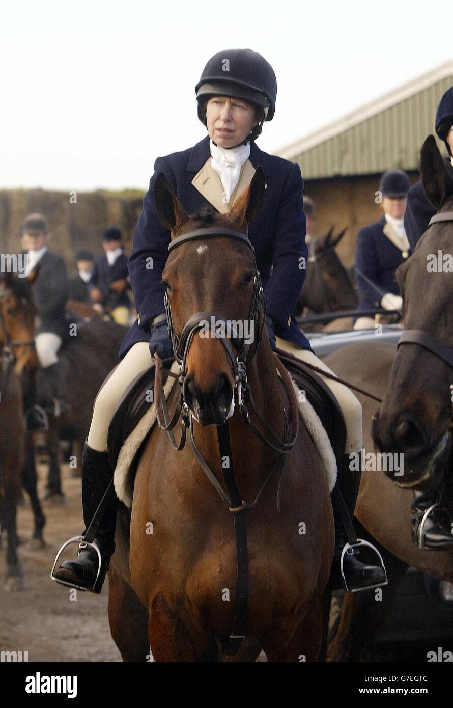 Princess royal hunting hi-res stock photography and images - Alamy