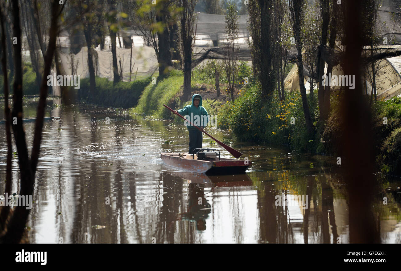 A farmer punts a boat at the Chinampas (floating farms) in Xochimilco ...