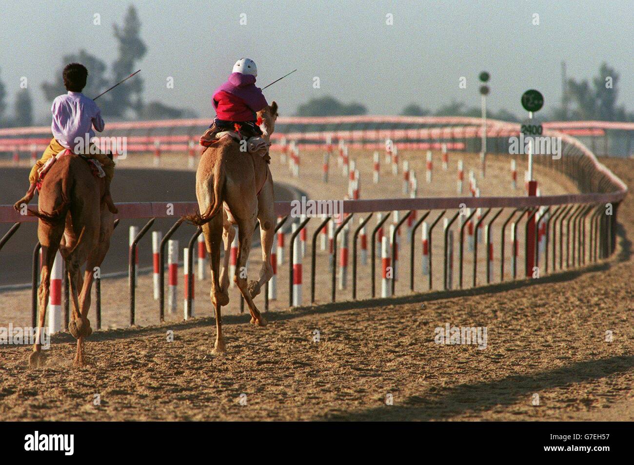 Camel Racing in Dubai, United Arab Emirates. Camel Racing Stock Photo ...