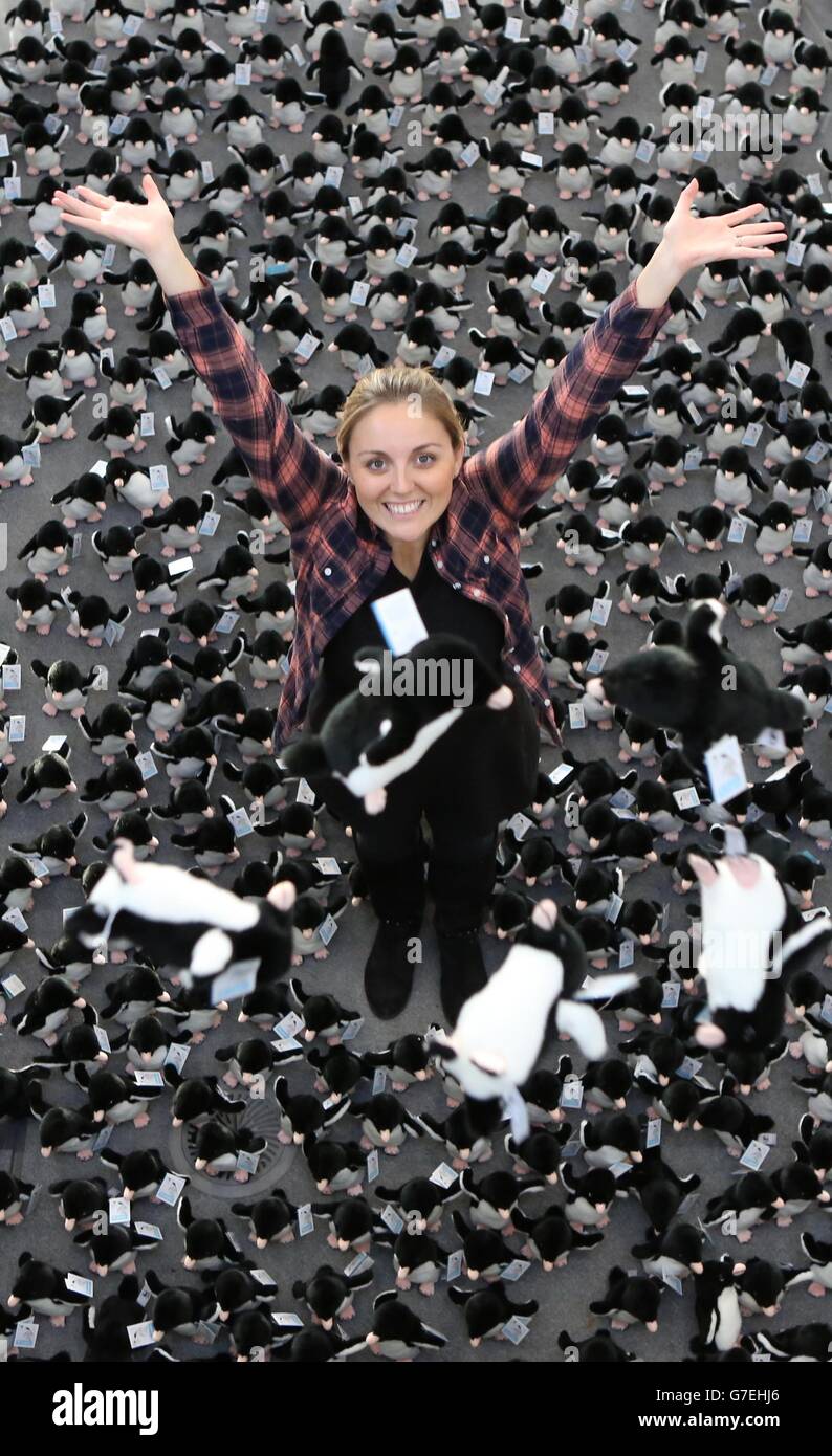 WWF Adopt a Penguin programme Stock Photo - Alamy