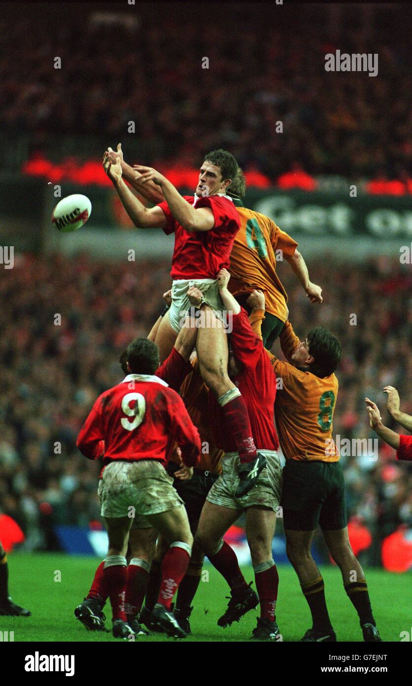 Wales left and tim gavin hi-res stock photography and images - Alamy