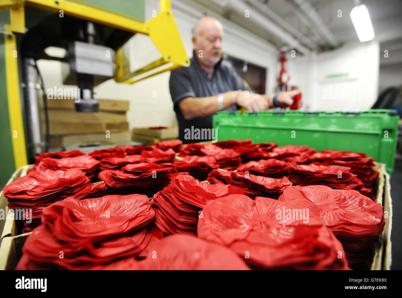 The Poppy Factory - Surrey. Poppy Appeal Stock Photo - Alamy