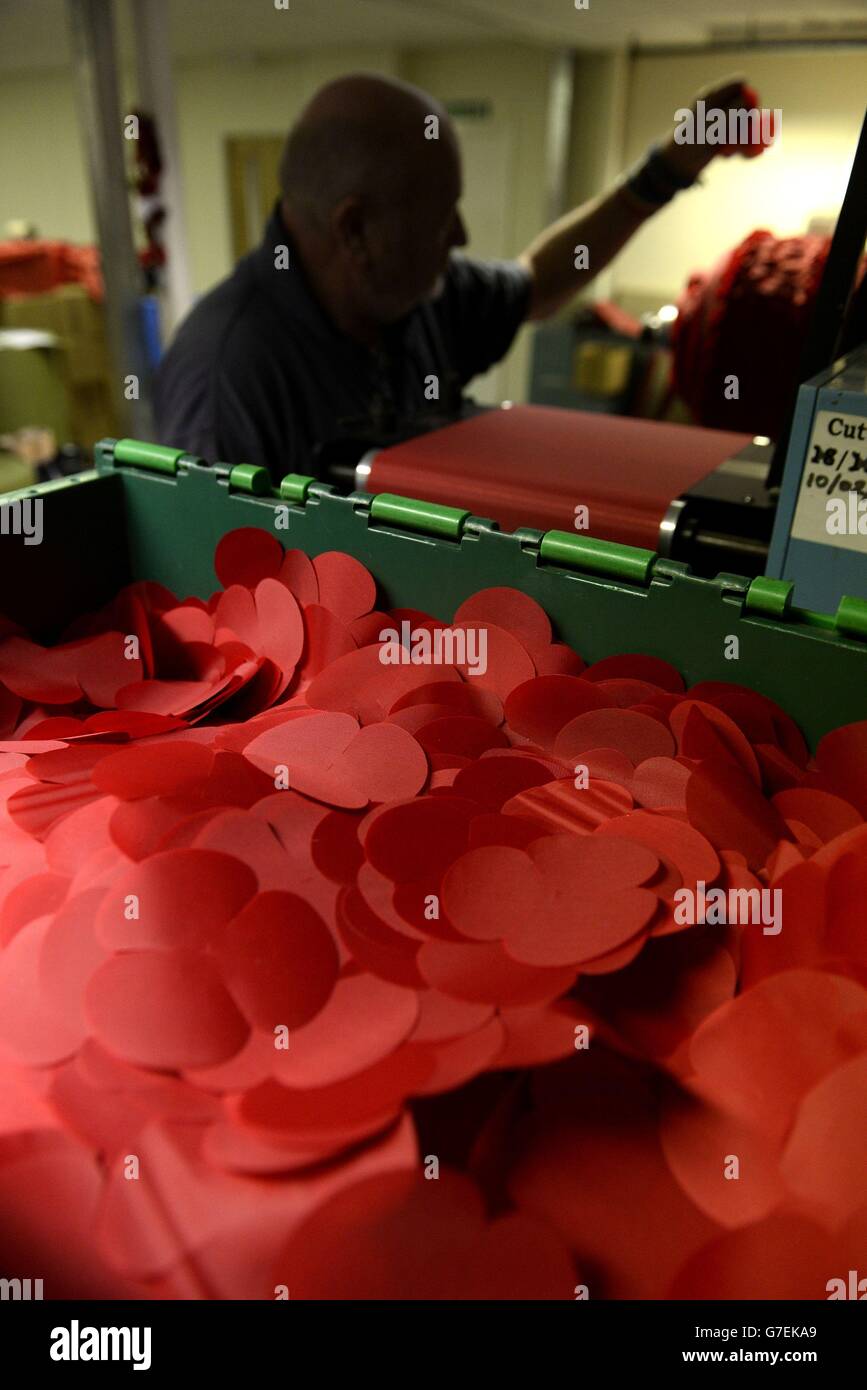 The Poppy Factory - Surrey Stock Photo - Alamy