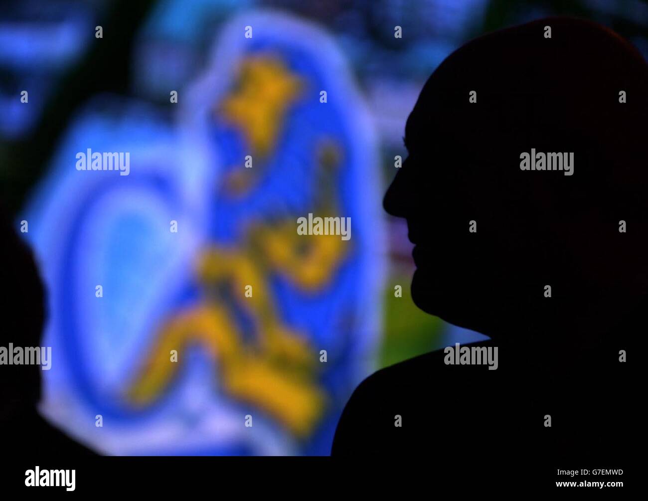 New Chelsea Badge Presented Stock Photo - Alamy