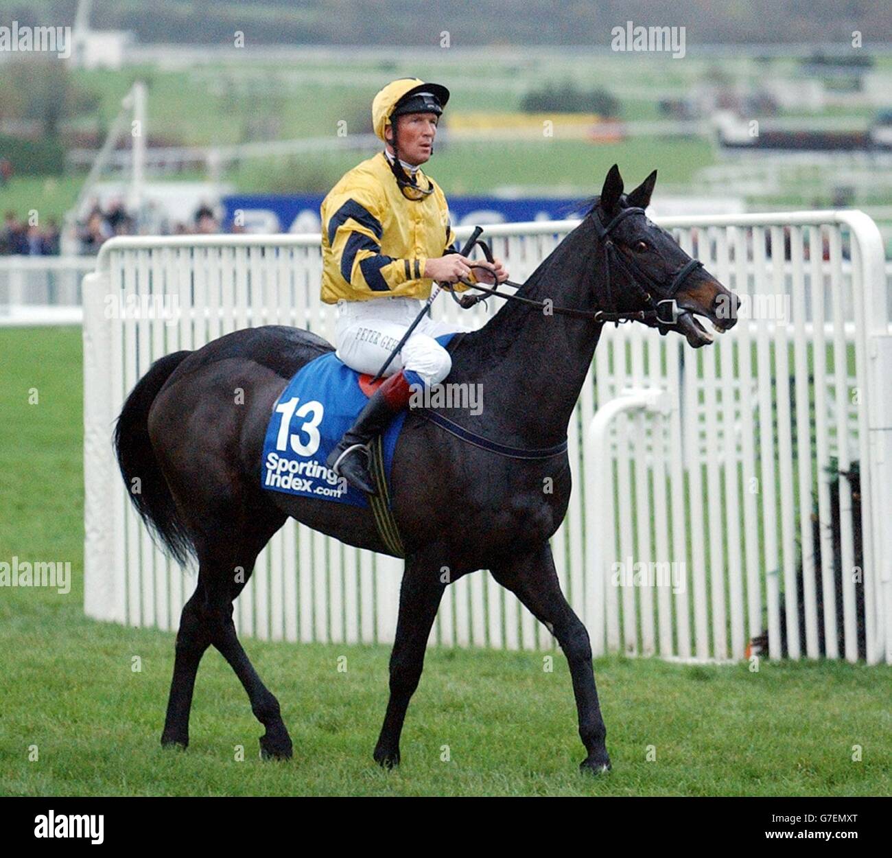 Jockey peter gehm takes registana back unsaddling hi-res stock ...