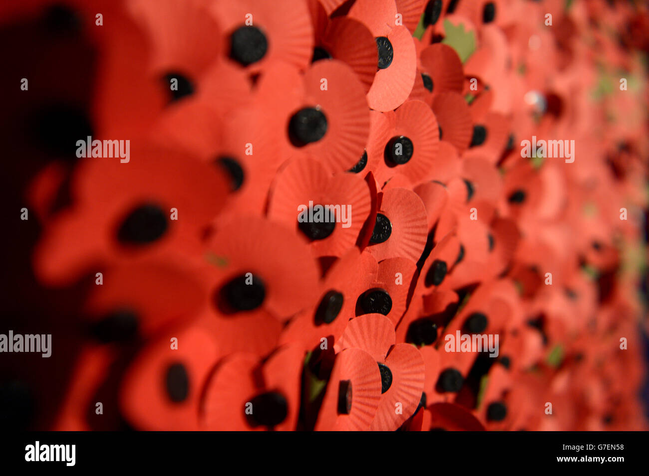 A poppy wall outside White Hart Lane in support of the Royal British ...