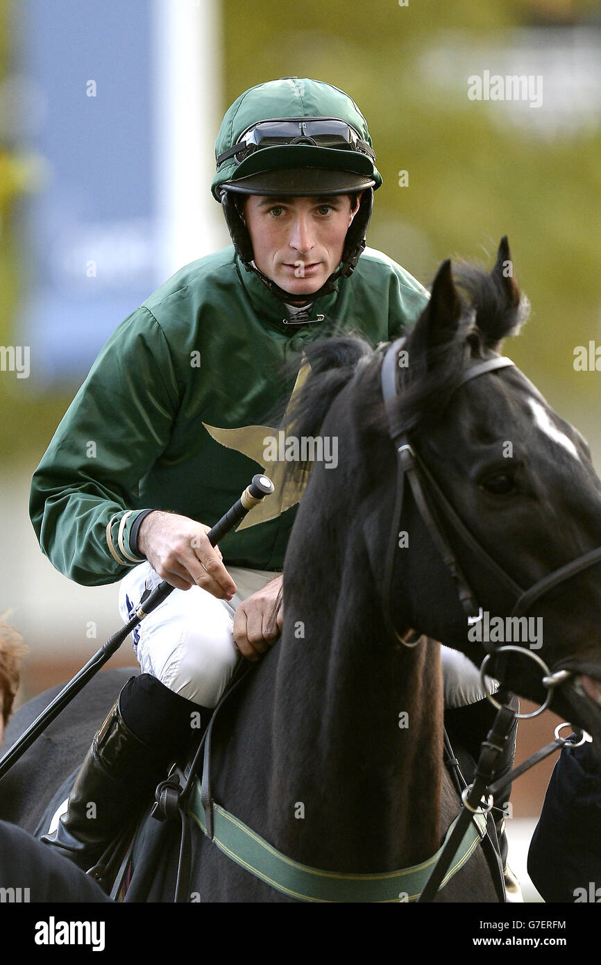 Jockey marc goldstein hi-res stock photography and images - Alamy