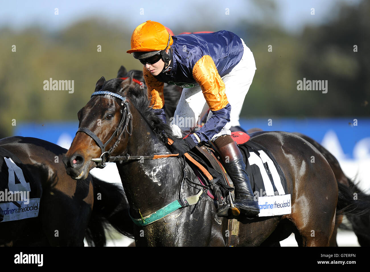 Jockey Brendan Powell on Coup De Grace during the Gardiner & Theobald ...