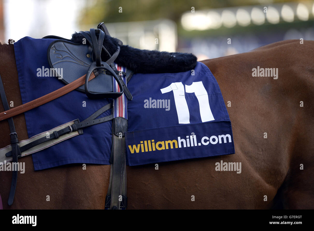 Horse Racing - United House Group Raceday - Ascot Racecourse. Saddle ...