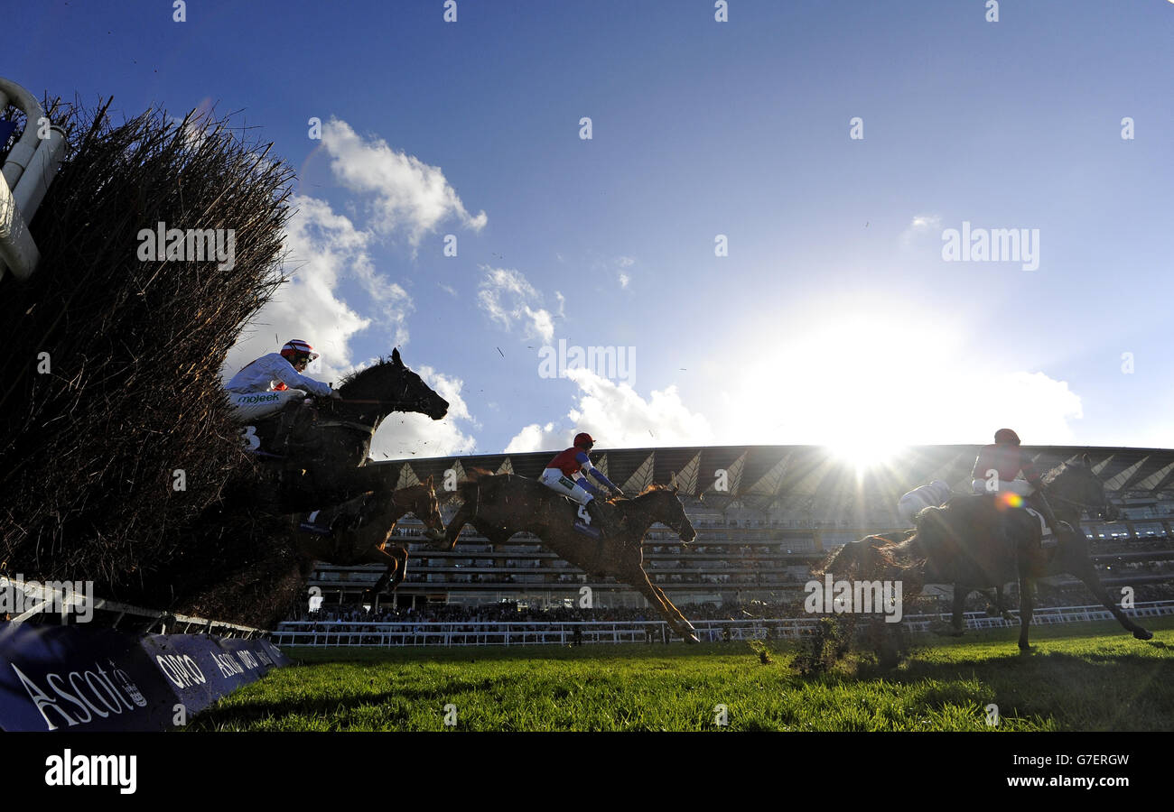 Racing ascot ampics jump fence qipco signage hi-res stock photography ...