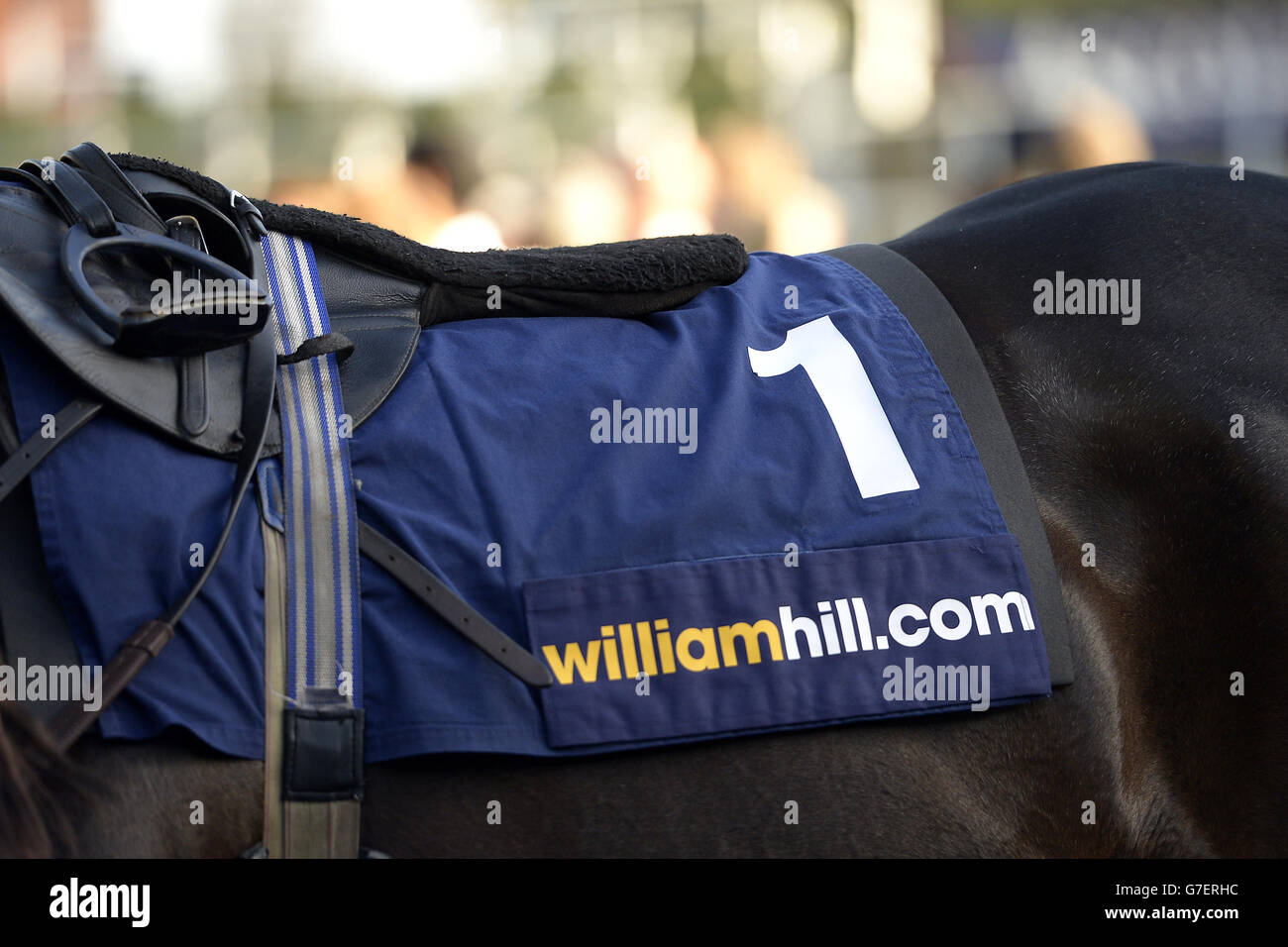 Horse Racing - United House Group Raceday - Ascot Racecourse. Saddle ...