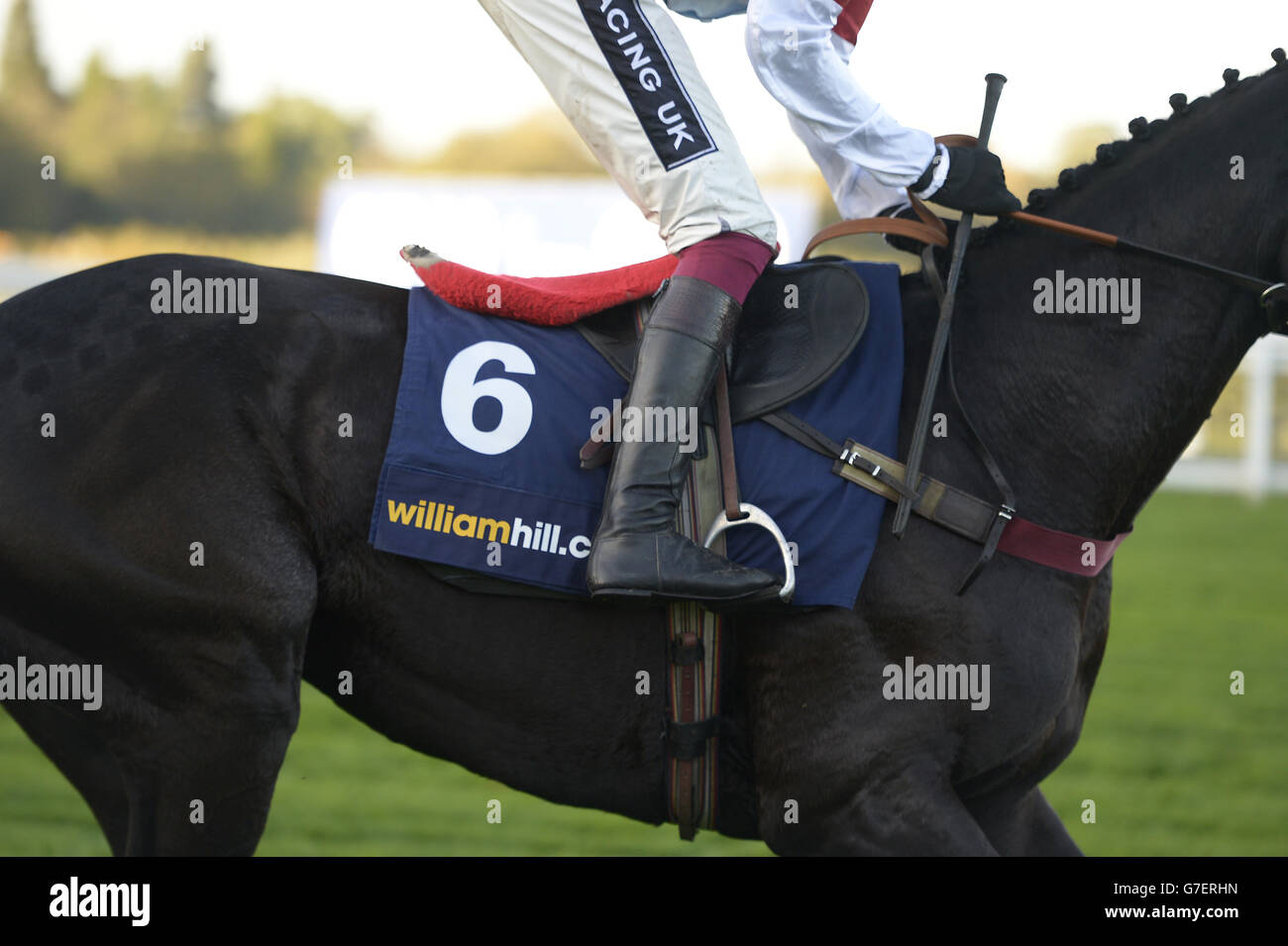 Racing ascot branding hi-res stock photography and images - Alamy