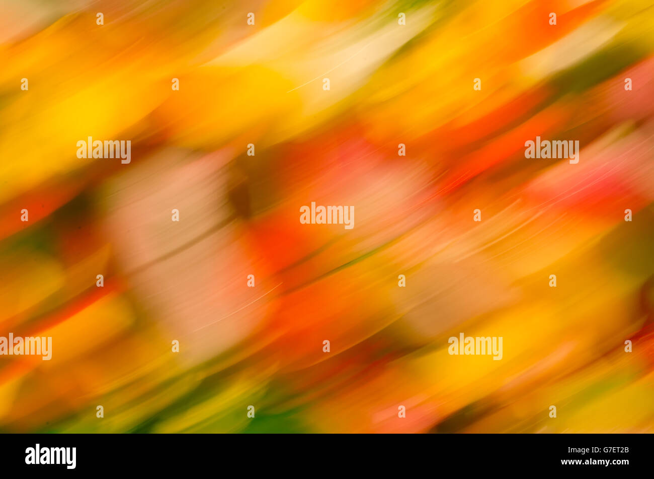 Colour; nature; abstract hi-res stock photography and images - Alamy