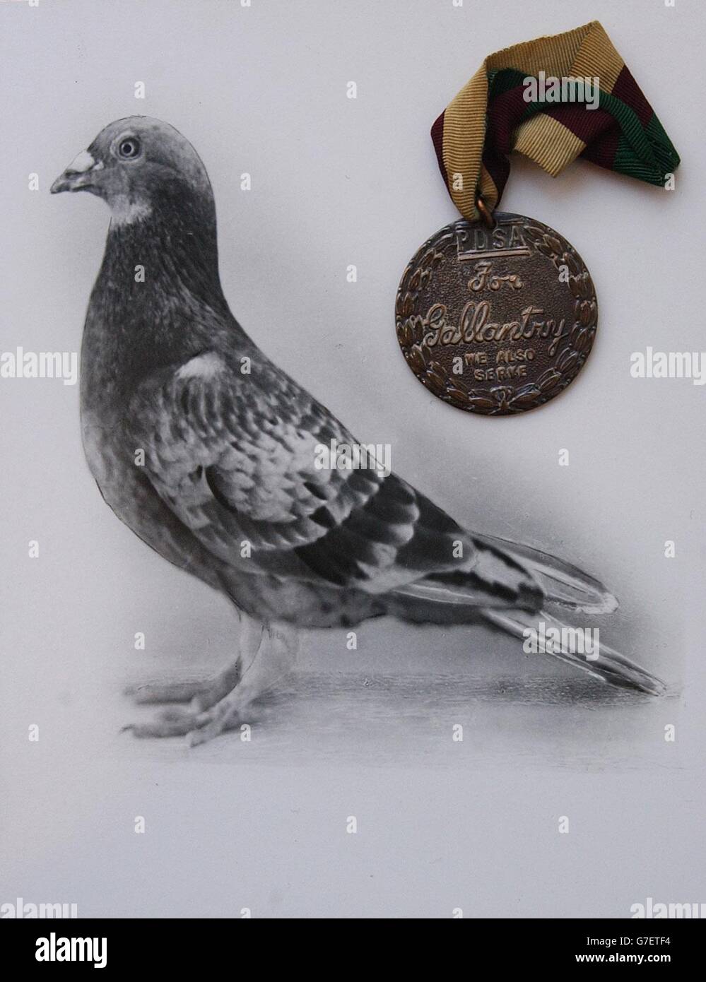 PDSA Dickin medal Stock Photo - Alamy
