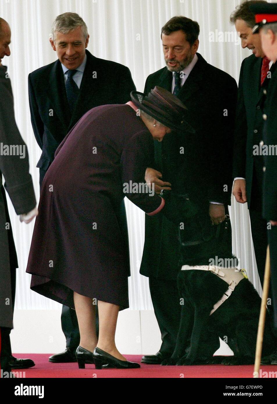 Britain's Queen Elizabeth II strokes Home Secretary David Blunkett's ...