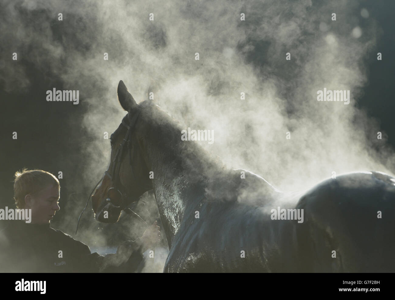 Steam rises off a horse after the Bradley Partnership Handicap Hurdle ...