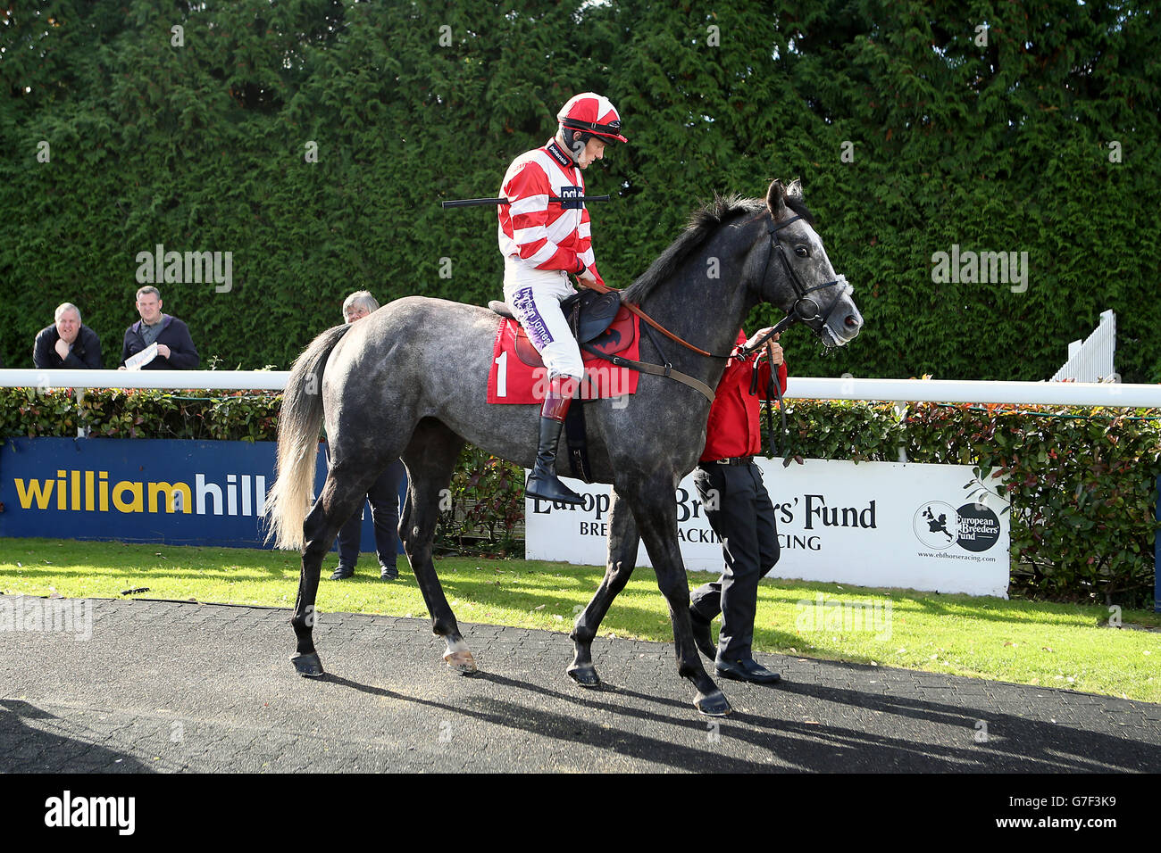 Horse Racing - Kempton Racecourse Stock Photo - Alamy