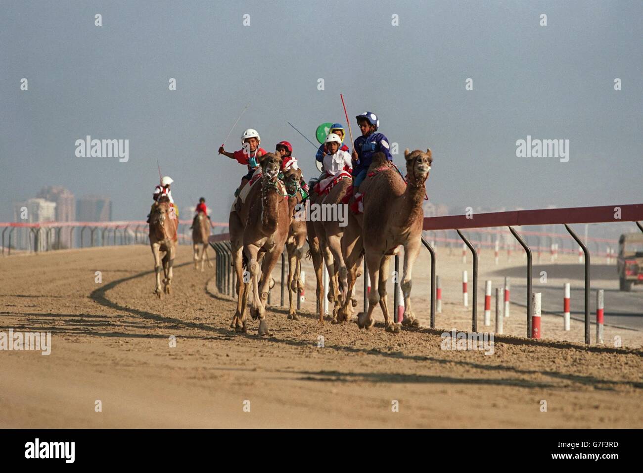 CAMEL RACING - Dubai, United Arab Emirates. Camel Racing in Dubai Stock ...