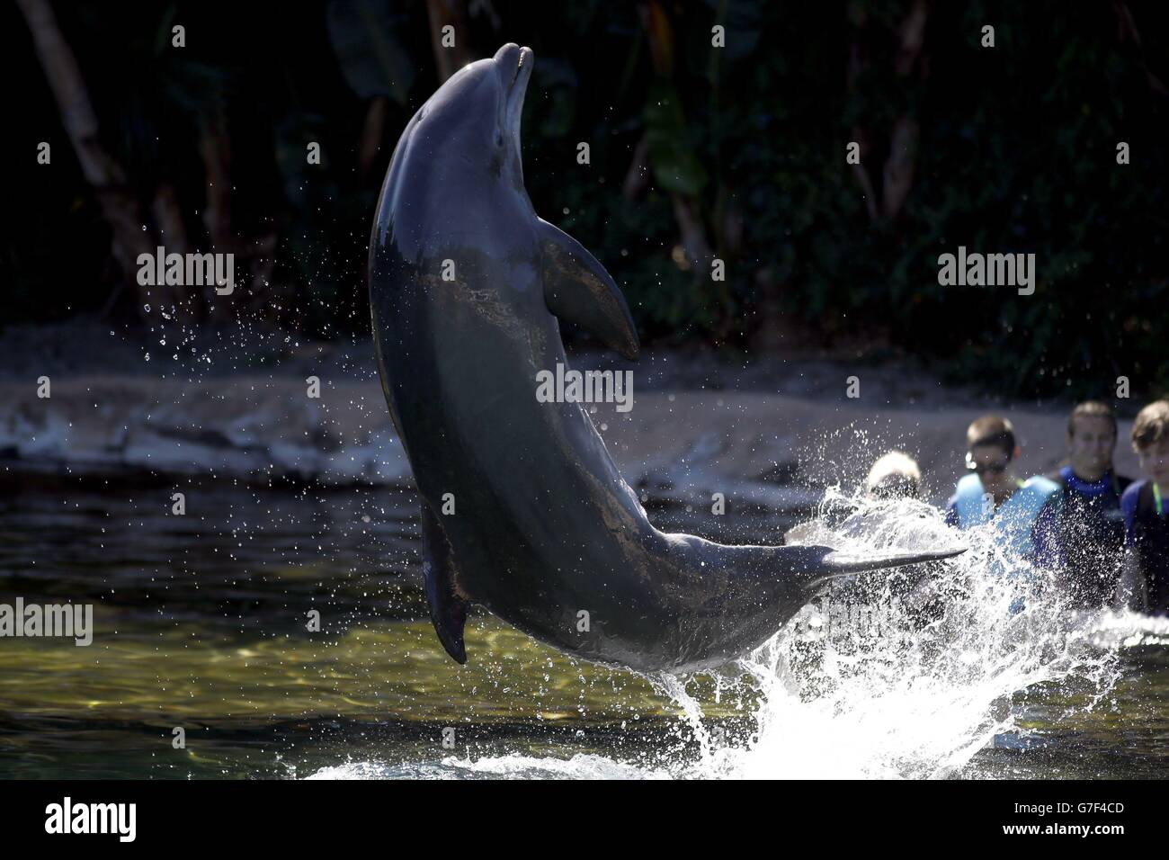 Dreamflight charity flight Stock Photo - Alamy
