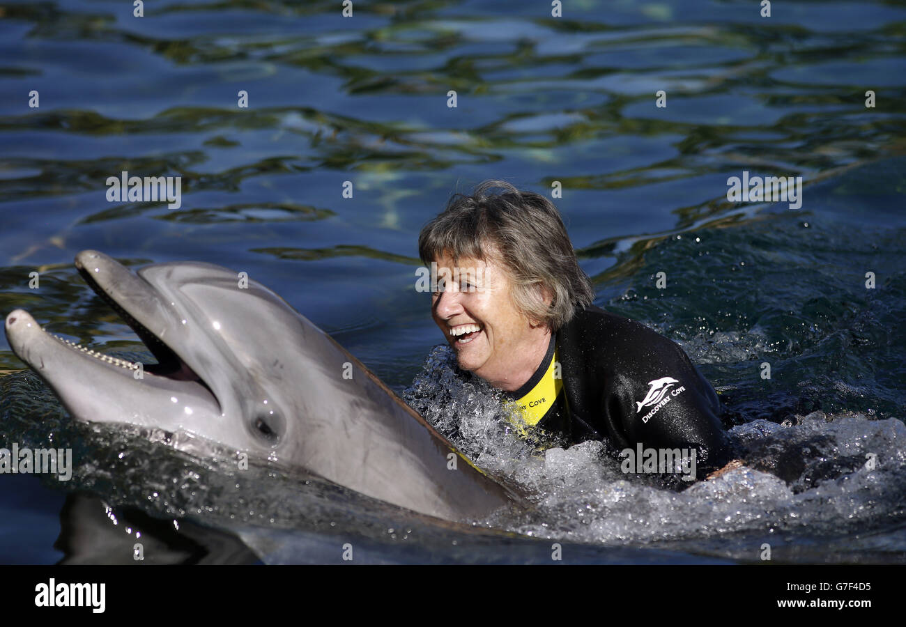Dreamflight charity flight Stock Photo - Alamy