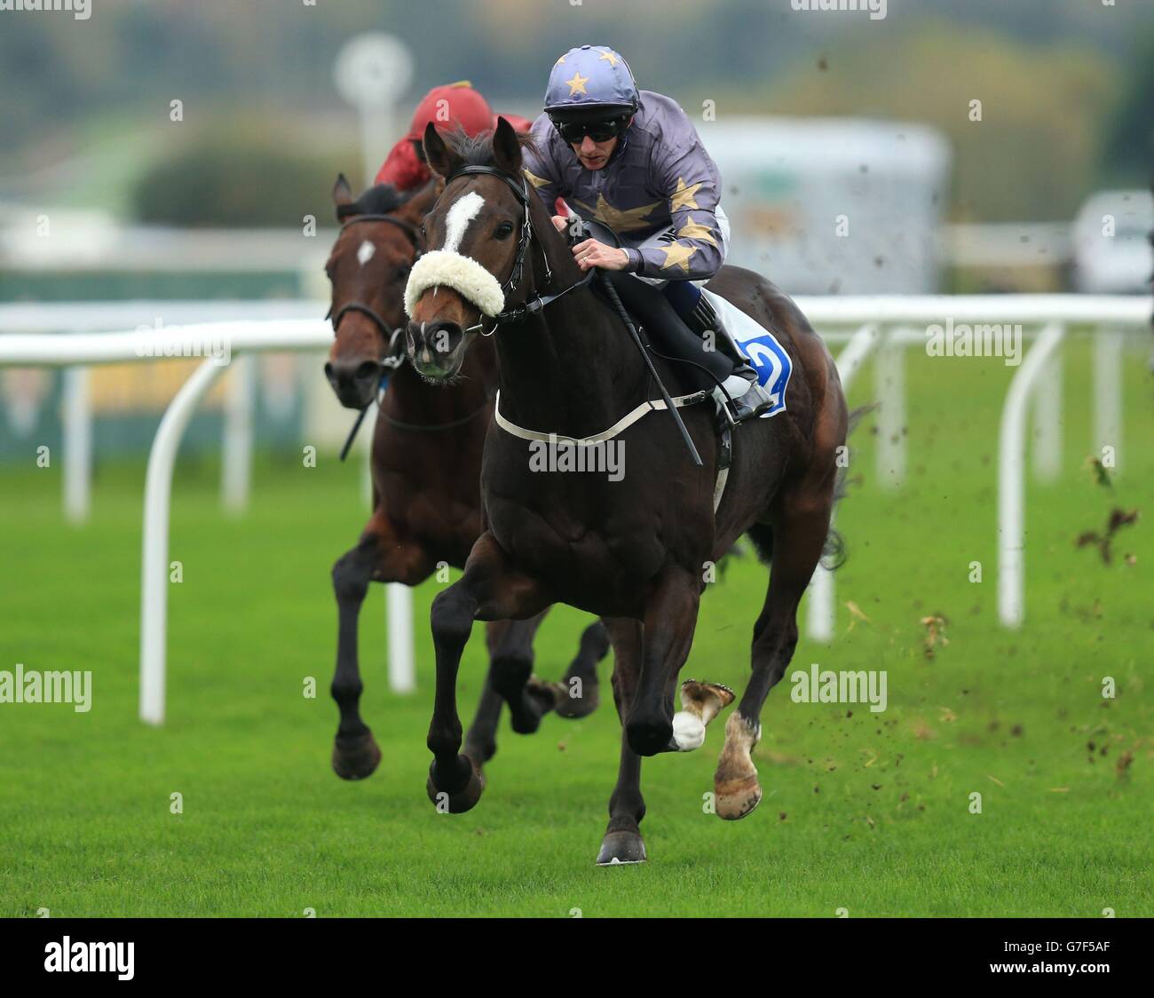 Horse Racing - Leicester Racecourse Stock Photo - Alamy