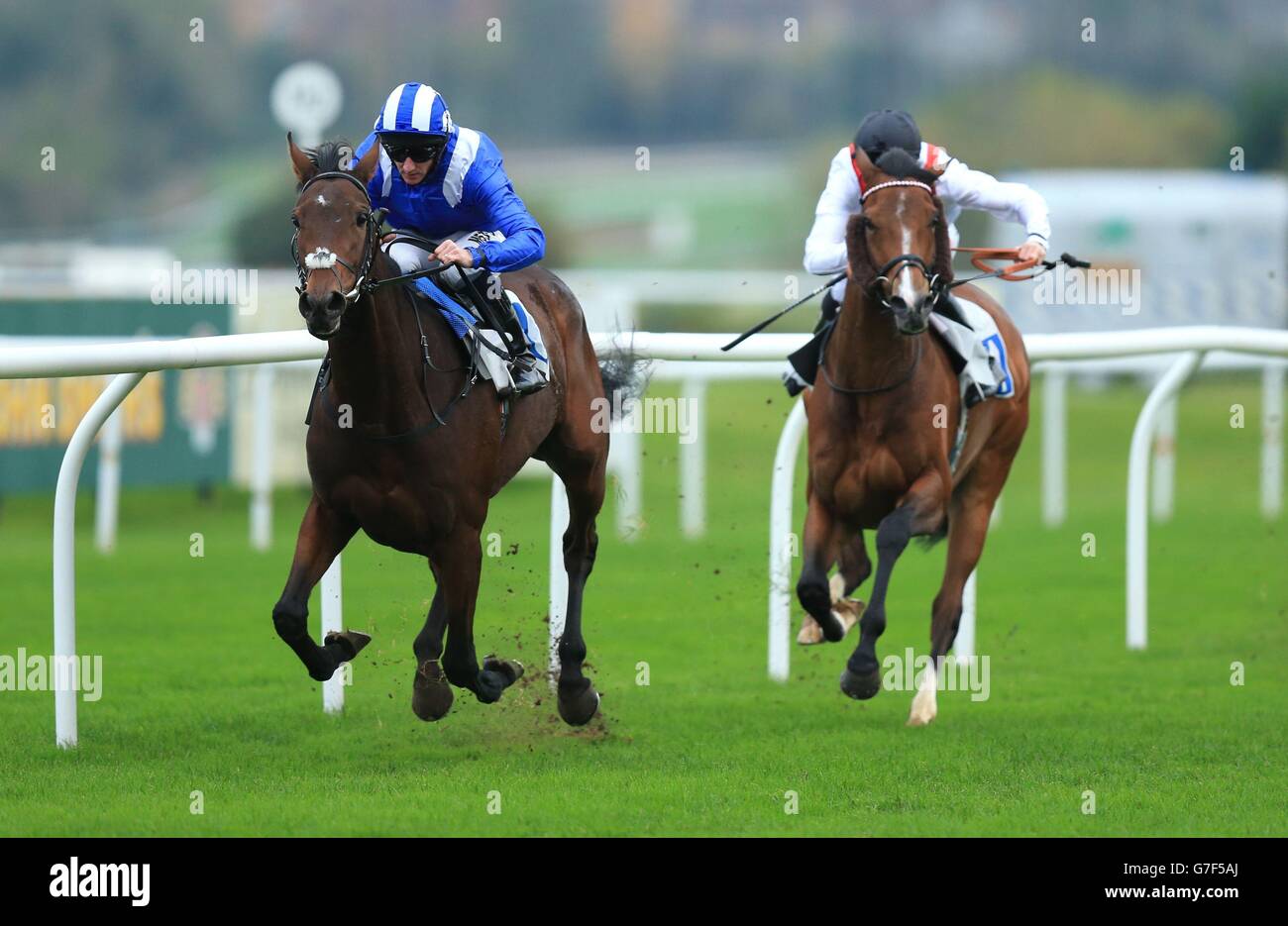 Rewaaya hi-res stock photography and images - Alamy