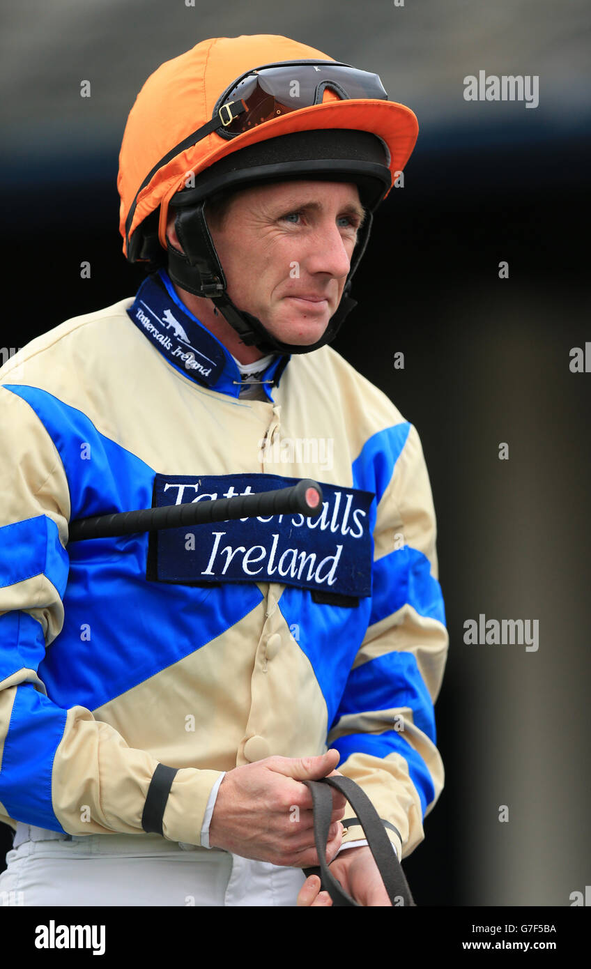 Horse Racing - Leicester Racecourse Stock Photo - Alamy
