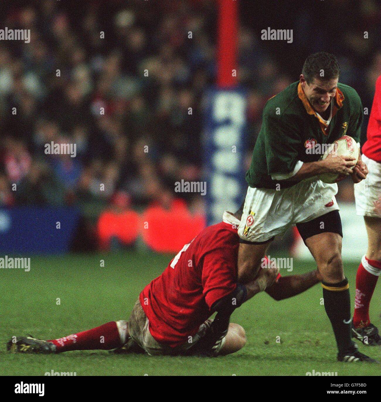James small south africa hi-res stock photography and images - Alamy