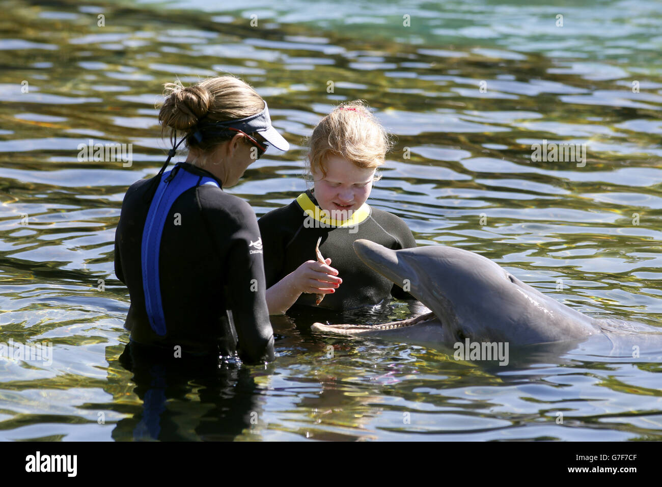 Dreamflight charity flight Stock Photo - Alamy