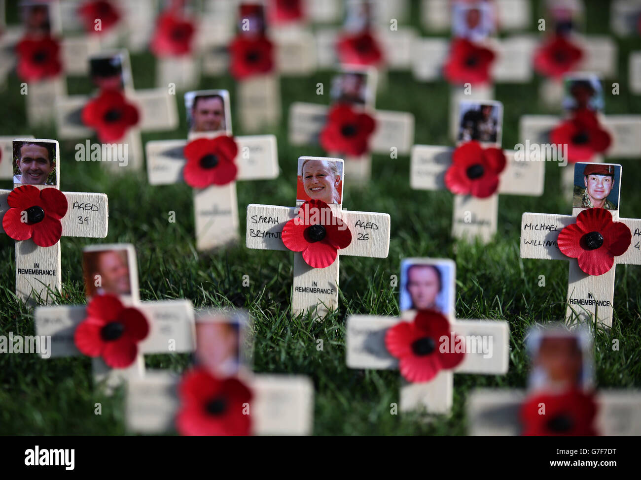 Poppyscotland Field of Remembrance Stock Photo - Alamy