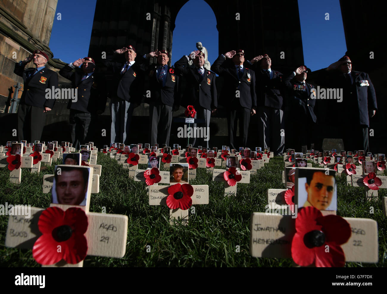 Poppyscotland Field of Remembrance Stock Photo - Alamy