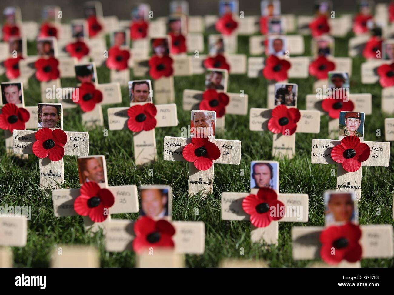 Poppyscotland field remembrance hi-res stock photography and images - Alamy