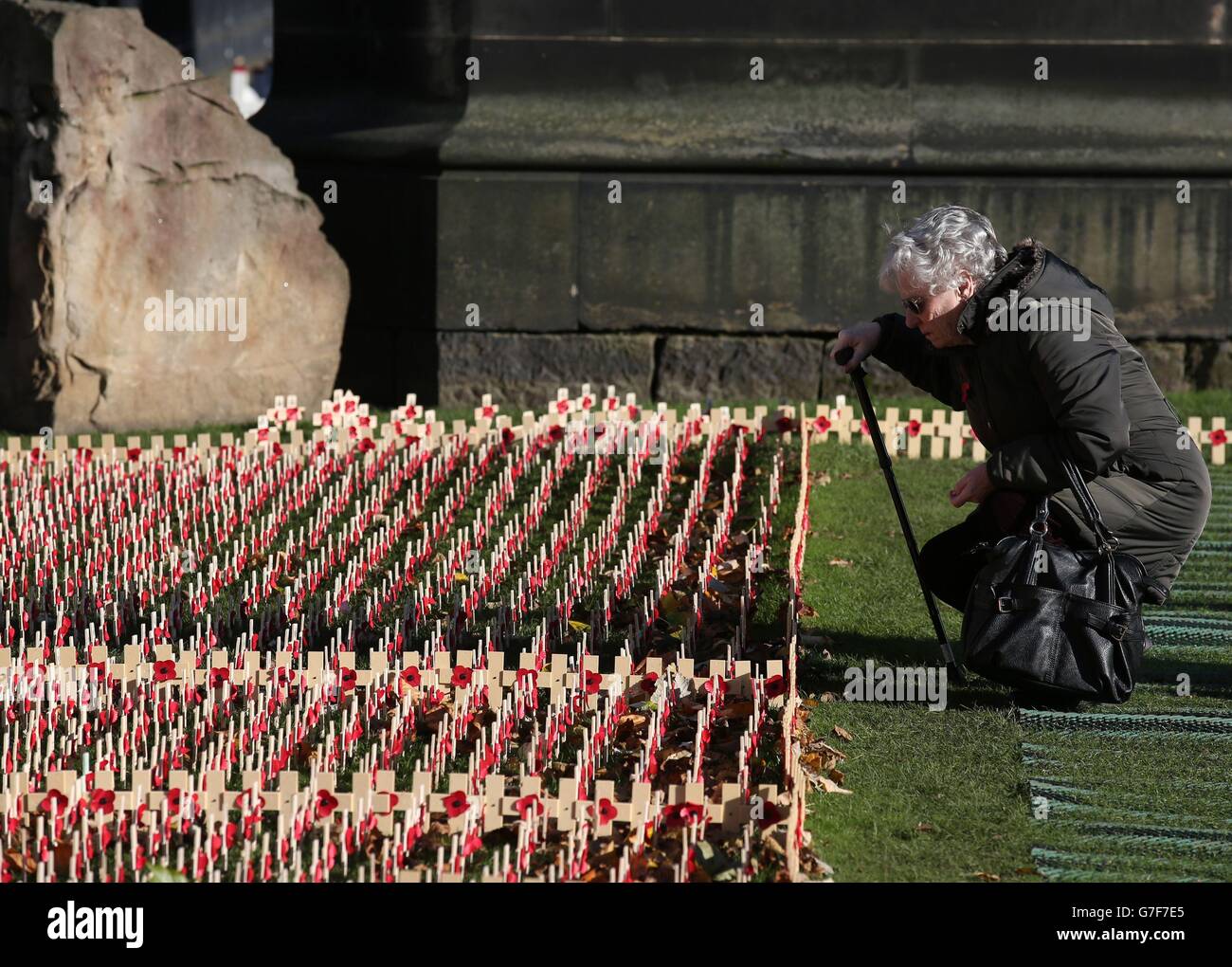 Poppyscotland Field of Remembrance Stock Photo - Alamy