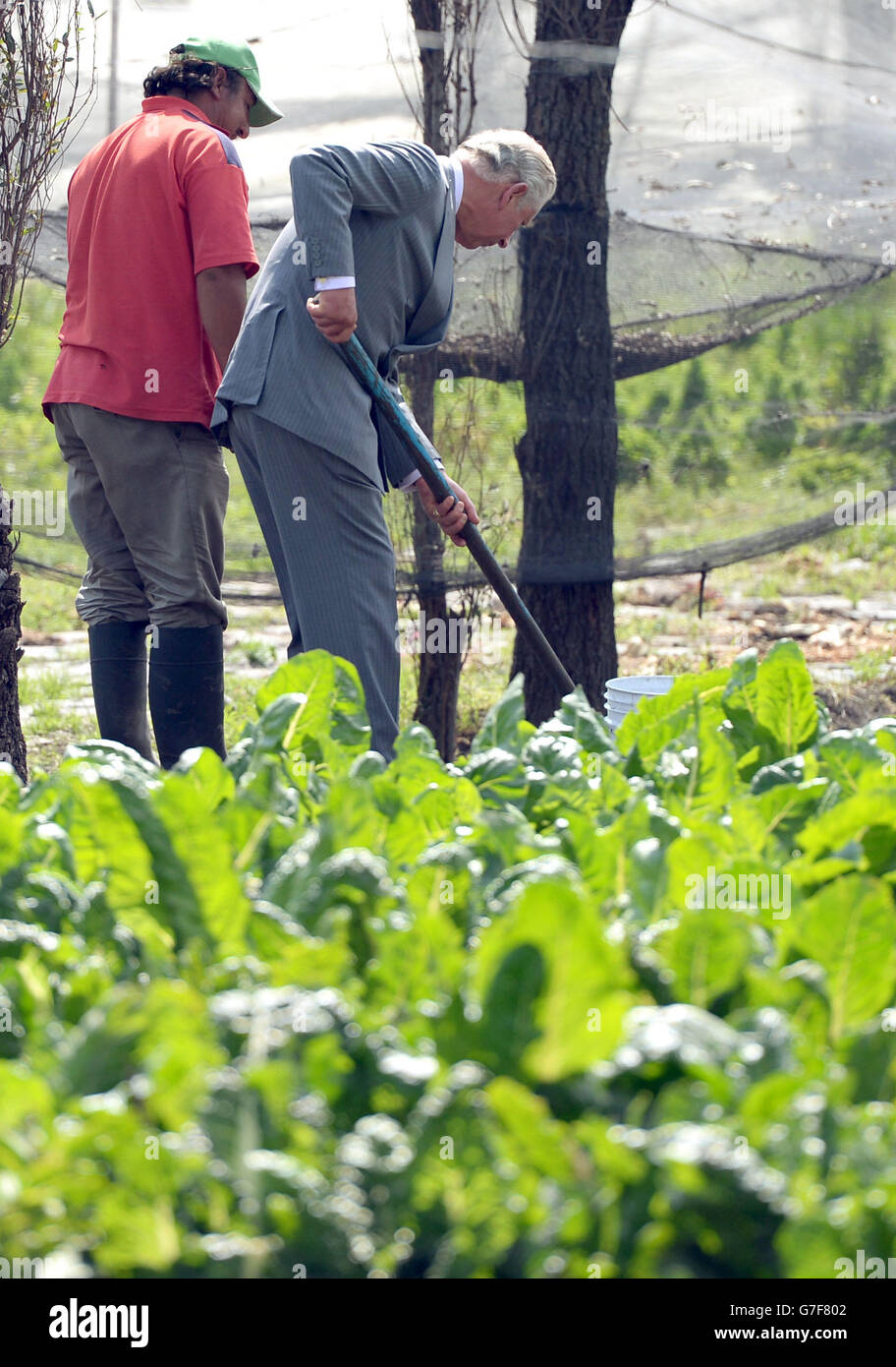 Chinampa Farming Method Of The Pics