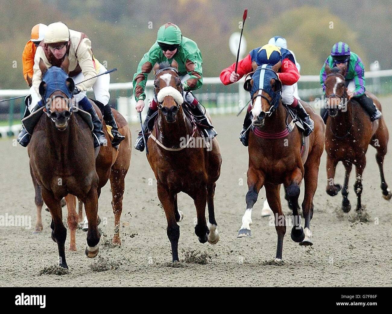 Robert Winston - Lingfield Stock Photo - Alamy