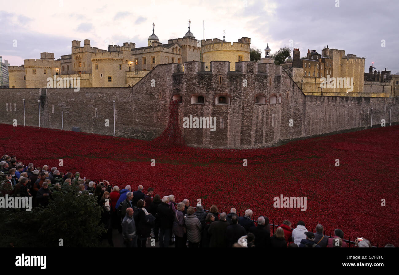 Poppy Appeal 2014 Stock Photo - Alamy